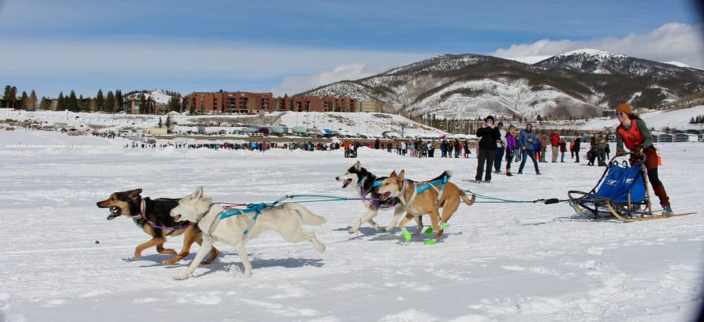 Dillon looks toward summer programing as a busy winter season on the ...